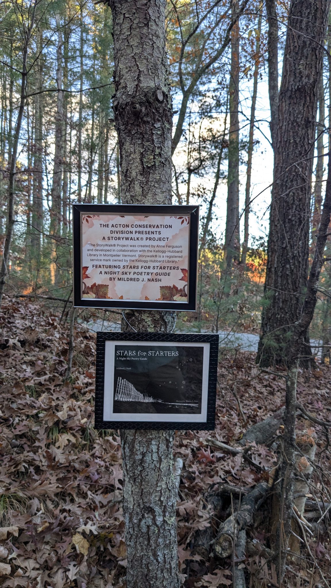 Storywalk®Project at Wills Hole/Town Forest Conservation Land | Acton ...
